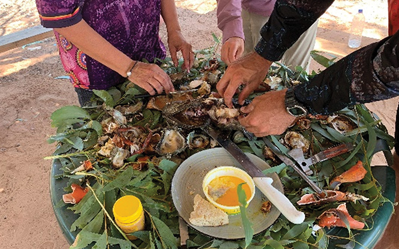 How traditional bush tucker could help boost Aboriginal children’s ...